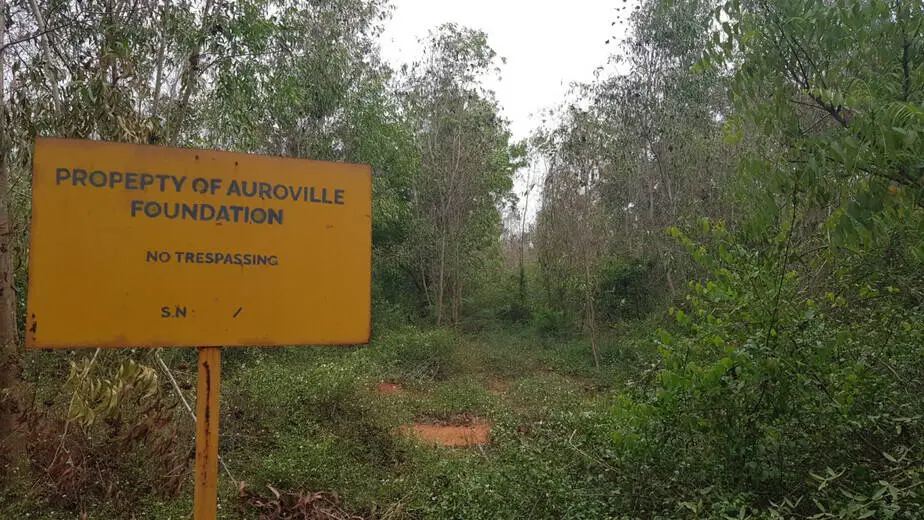 Auroville: 6 Things That Make This Experimental Indian Town Special ...