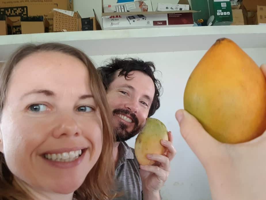 10-tips-for-eating-vegan-in-india-by-a-vegan-in-india-chai-nomad